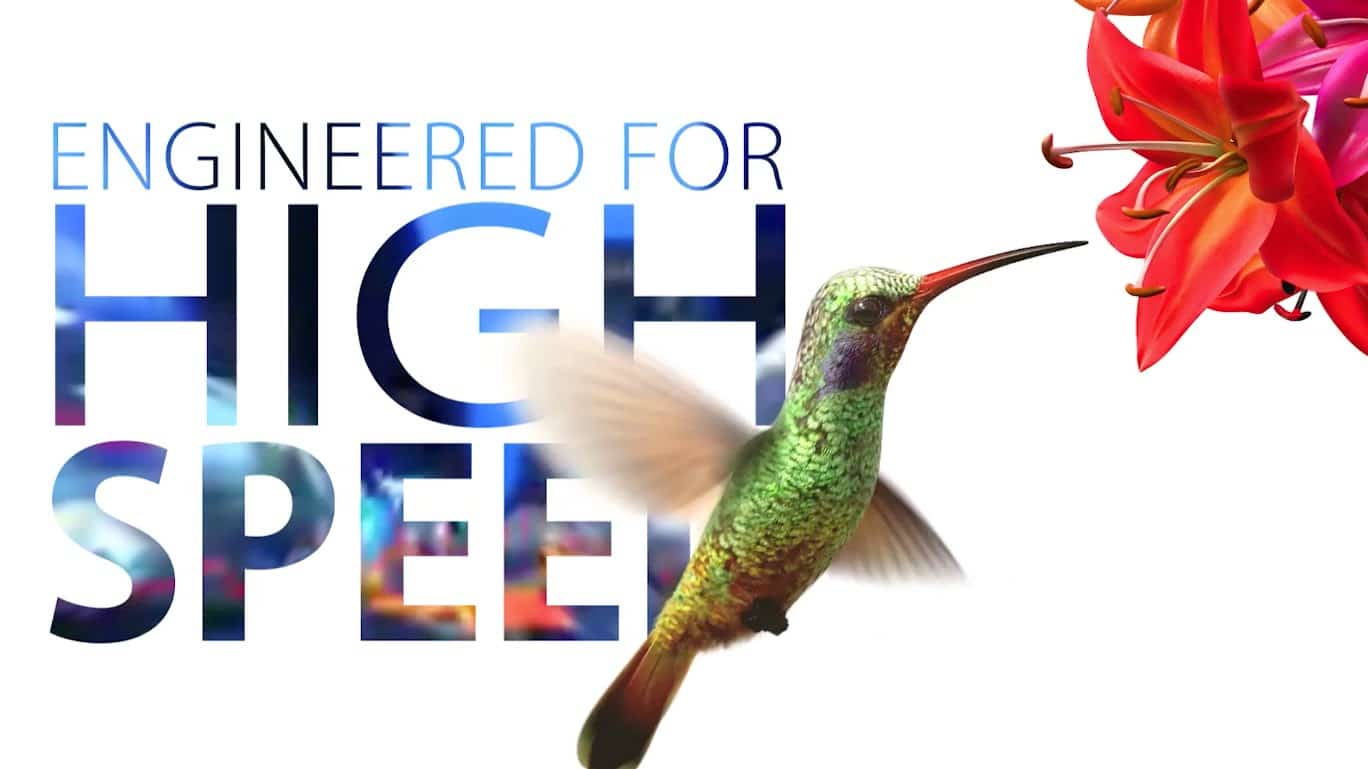 High Speed Inkjet Papers - Papico