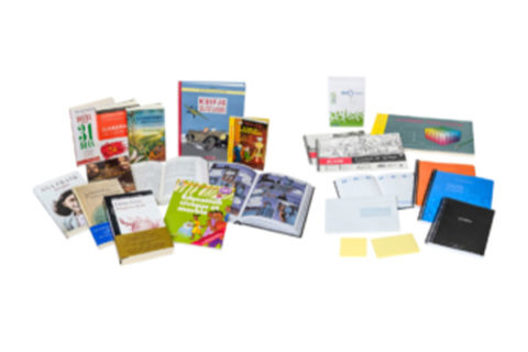 Papelera del Oria - Papico